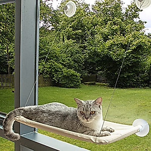Cat Window Perch, Cat Window Hammock, Window Perch for Cats Inside Up to 50lbs