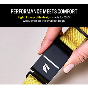 Fi Series 3 Smart Dog Collar - GPS Dog Tracker and Activity & Health Monitor, Waterproof, LED Light, Escape Alerts, Nationwide Coverage [Free 1 Year Membership] (Blue, Large)