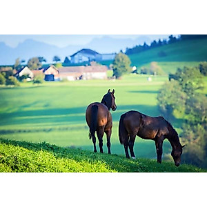 DIAMOND FARRIER 3863 Bucket Boss Tool Roll