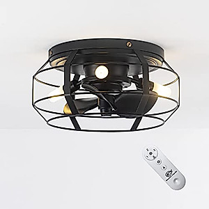 Parrot Uncle Ceiling Fans with Lights and Remote Black Low Profile Ceiling Fan with Light Small Caged Ceiling Fan for Bedroom Bathroom, 12 Inch