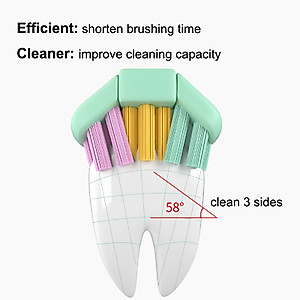 KnocKconK Three Sided Dog Toothbrush Kit, 2 Size Dog Toothbrush for Adult Puppy with Small Soft Head, Pet Teeth Deep Clean Dense Brush, Safe and Effective Oral Care, Small Dog Tooth Cleaning