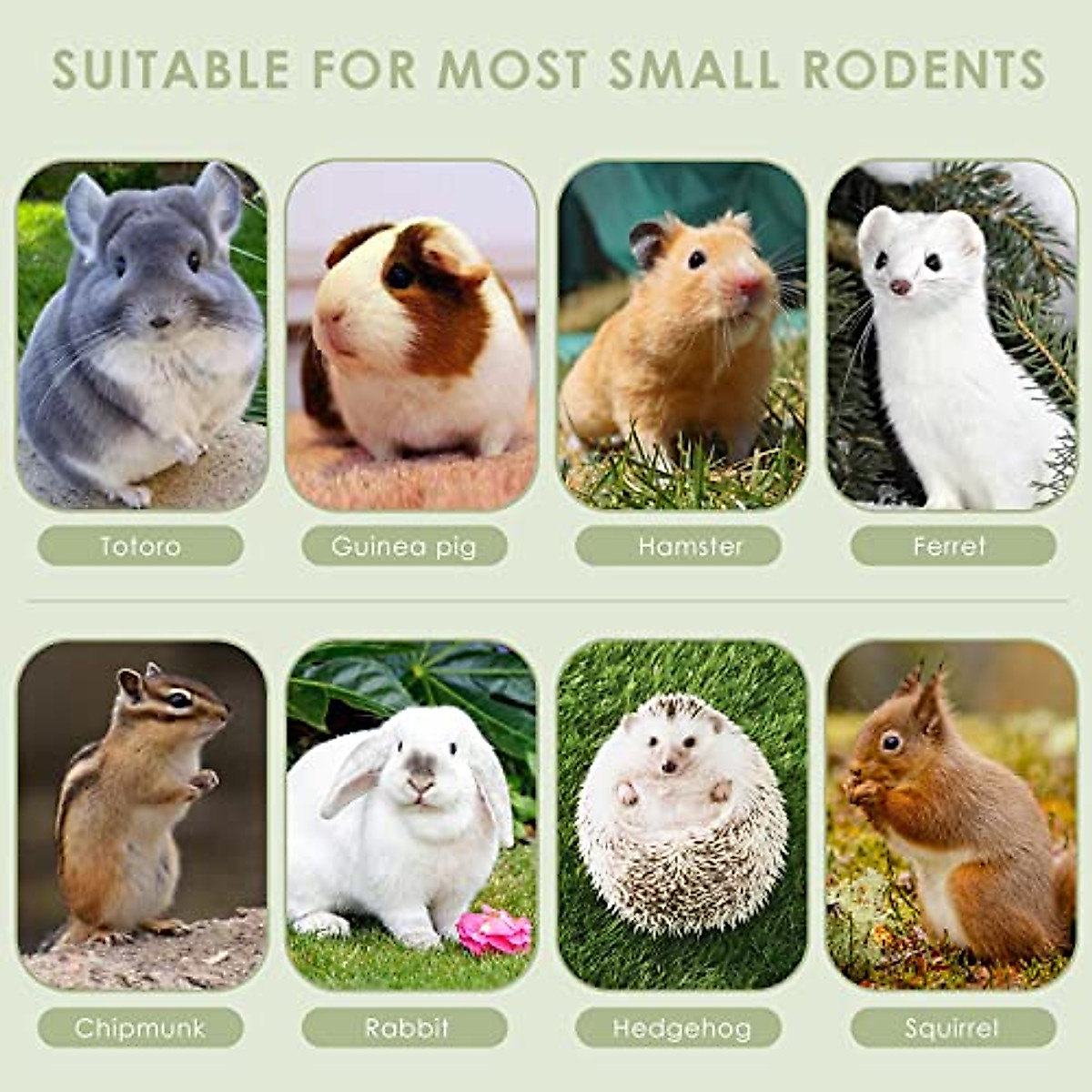 ERKOON 25 Pcs Timothy Hay Sticks,Rabbit Chew Toys for Teeth Natural Timothy Grass Molar Sticks Rabbits Treats for Bunnies, Chinchilla Guinea Pigs, Gerbil, Hamster (Timothy+Oatmeal+Beet)