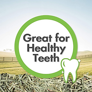 Vitakraft Small Animal Timothy Hay for Guinea Pigs, Rabbits, and Chinchillas - 1.75 lbs