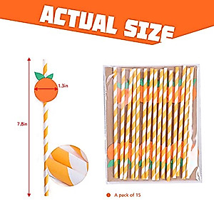Orange Paper Straws - Biodegradable Disposable Drinking Striped Paper Straws 15 Pieces, Little Cutie Straws, Little Cutie Baby Shower Decorations, Little Cutie Themed Birthday Decorations