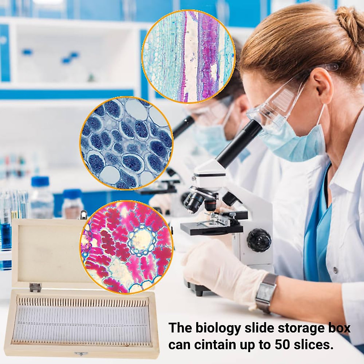 Biology Glass Prepared Microscope Slides Specimens Wooden Slide Storage Box Case