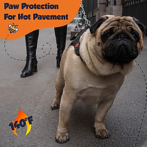 Dog Paw Balm and Dog Nose Balm 2Oz (2 in 1)- Dog Balm for Paws and Nose Treatment for Dry and Cracked Paws and Snouts- Also Paw Balm Dogs Lick Safe for Hot Pavement Protection- Snout Soother for Dogs