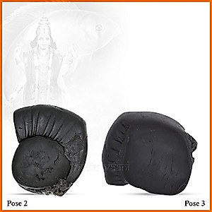 Vedic Vaani Lord Vishnu Avatar Matsya Shaligram Shila for Puja (Pack of 4)