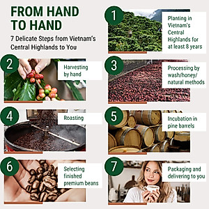 Robusta Coffee Beans Espresso, Vietnamese Coffee Beans Roasted Dark for Low Acid & High Caffeine Strong Coffee from Asian Coffee Beans