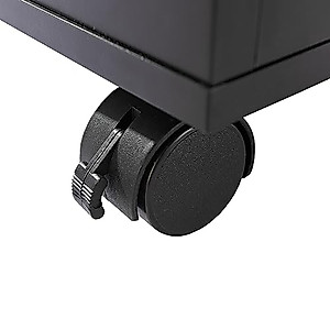 Lavish Home File Cabinet - 2-Drawer Cabinet with Lock and Deep Drawer Storage - Rolling Filing Cabinet for Under The Desk, Home, or Office (Black)