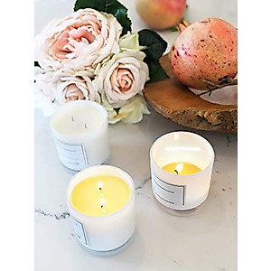 Persimmon, Bergamot & Sandalwood scented candle (7oz./200g.) Made with coconut wax blend, highly scented. Medium size candle with two wicks. Handmade in Los Angeles, CA.