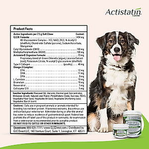 Actistatin Canine Large Dog Soft Chews, 120ct – Patented Extra-Strength Joint, Cartilage, Soft Tissue Supplement: Glucosamine, Chondroitin, Manganese, MSM, L-Carnitine – High Absorption, Fast Results