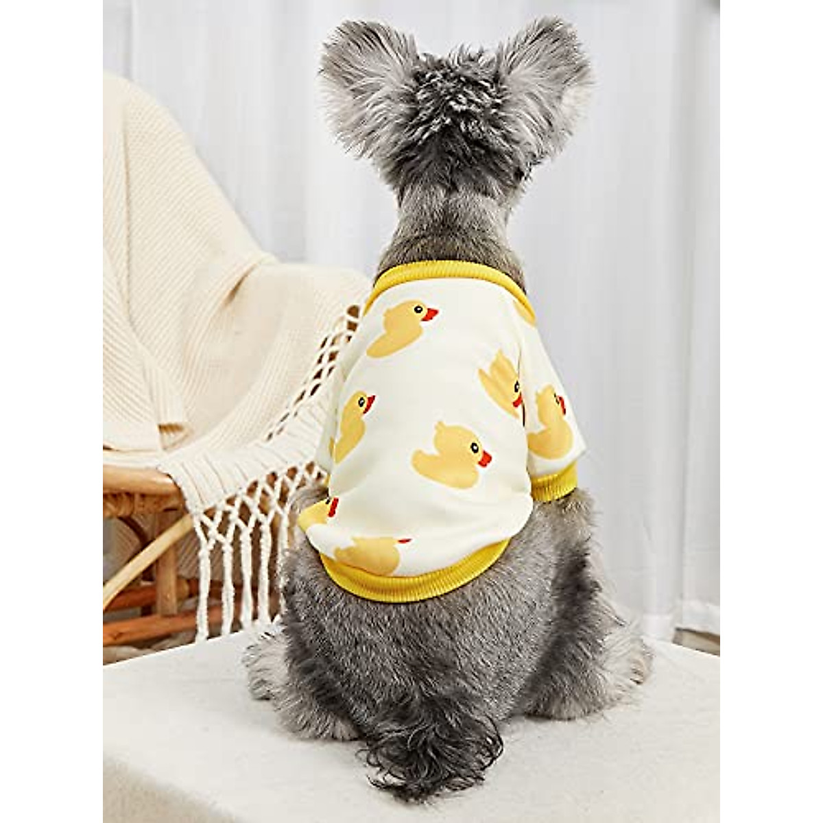 QWINEE Dog Shirt Cute Dogs T Shirt Sweatshirt Apparel Dog Clothes for Cat Kitty Puppy Small Dogs Yellow M