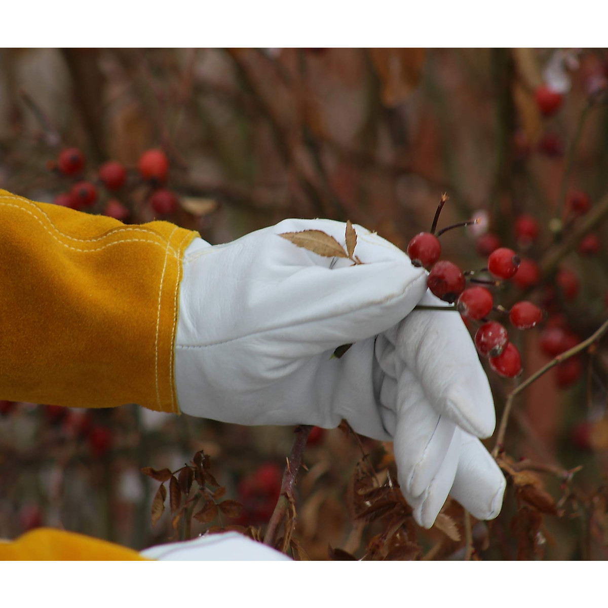 Suse's Kinder Garden Gloves for Women, Thorn Proof Rose Pruning Gloves with Kevlar Lining (Yellow/White, XS)