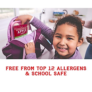 Nature’s Turn Freeze-Dried Fruit Snacks, Superfruit Variety, Pack of 16 (0.53 oz Each)