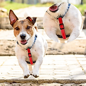 5 Pcs Safety Dog Collar Clips Prong Collar Backup Clips Adjustable Reflective Nylon Dog Collar Harness Connector Metal Double Ended Backup Clasp for Dog Harness Pet (Dark Color)