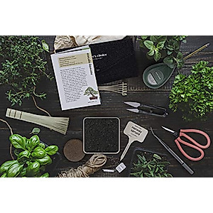 Planters' Choice Indoor Plant Moisture Meter Soil Tester - No Batteries Required : Water Sensor Hydrometer for Plants : Houseplant Care - Gardening Tools - Planting Accessories