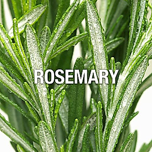 Men's Cologne Fragrance Spray by Ed Hardy, Hearts & Daggers, Eau De Toilette, 3.4 Fl Oz