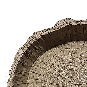 Reptile Water Dish Feeder Bowl Pet Feeding Tray Environmentally Friendly Resin for Tortoise, Gecko, Turtle, Snake, Lizard, Spider, Chameleon