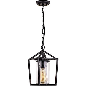 Capslpad Outdoor Pendant Light for Porch,1-Light Modern Metal Vintage Cage Hanging Lantern Light Adjustable Pendant Light Fixtures with Glass Shade for Porch,Entryway,Doorway,Farmhouse,Foyer