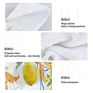 MCHIVER 2 Pcs Hanging Kitchen Hand Towels with Loop, Sicilian Style Lemon Fruit Tile Decorative Towels Absorbent Towel for Bathroom, Laundry Room, Hotel, Gym and Spa