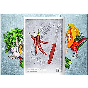 fixwell Stainless Steel Knives (Multicolor) Pack of 2