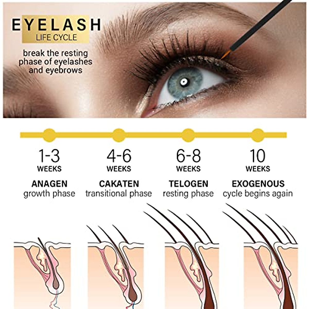 Premium Eyelash Growth Serum - 5ml Fuller & Longer Looking Eyelashes Lash Enhancing Serum for Natural Lashes or Lash Extensions & Brows, Vegan & Cruelty-Free gold