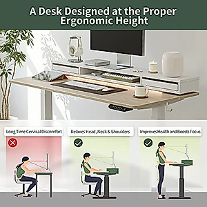 FEZIBO 55 × 26 Inch Electric Standing Desk with Monitor Stand, Height Adjustable Table with LED Strips, Ergonomic Home Office Furniture with 2 Drawers Storage Gaming Workstation, Light Walnut Top