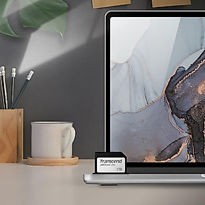 Transcend 128GB JetDrive Lite 330 Storage Expansion Card for 13-Inch MacBook Pro with Retina Display (TS128GJDL330),Black, Silver