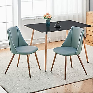QIAYA Velvet Dining Chair Set of 2 Accent Chair with Metal Legs Modern Dining Room Chairs with Soft Seat for Dining Room Make Up Room Lake Green