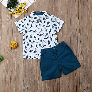 VISGOGO Toddler Baby Boy Flamingo Short Sleeve Button Down Shirt & Casual Shorts Set Summer Outfits 1-6 Years Clothes