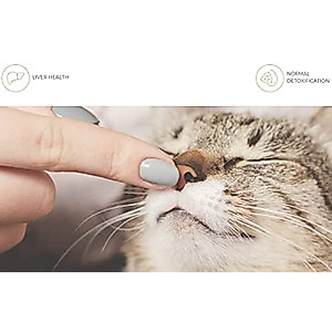 VETRISCIENCE Vetri Liver Feline, Chicken Flavor, 120 Chews - Advanced Liver Support Supplement for Cats with Milk Thistle, DMG and Whey Protein Isolate