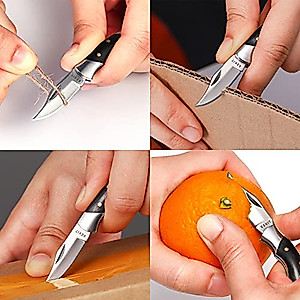 EZKIT Small Pocket Knife, EDC Knife with Stainless Steel and Wood Handle, Small Folding Knife, Blade Length1.5in