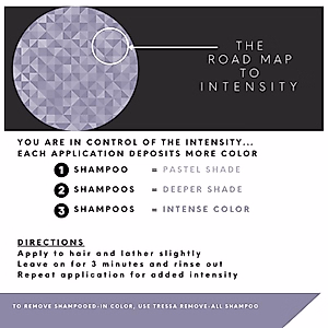 Watercolors INTENSE METALLIC Semi Permanet Color Depositing Shampoo-Sulfate & Paraben Free to Maintain & Enhance Hair Color 8 fl oz - SILVER