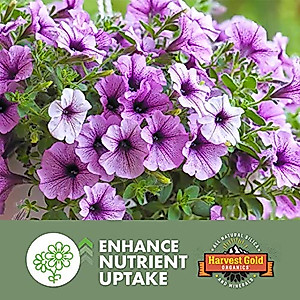 Harvest Gold Organics - Organic Soil Conditioner, Natural Soil Amendment for Houseplants, Flowers, Lawns, Gardens and Trees, Provides Natural Silica and Micronutrients for Plants (3 Pound Bag)