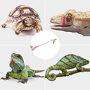 3 Pcs Stainless Steel Feeding Tongs, Reptile Feeding Tweezers Long Handle Feeder Tools for Fish Aquariums, Reptiles Snakes Lizard Gecko Spider and Bird