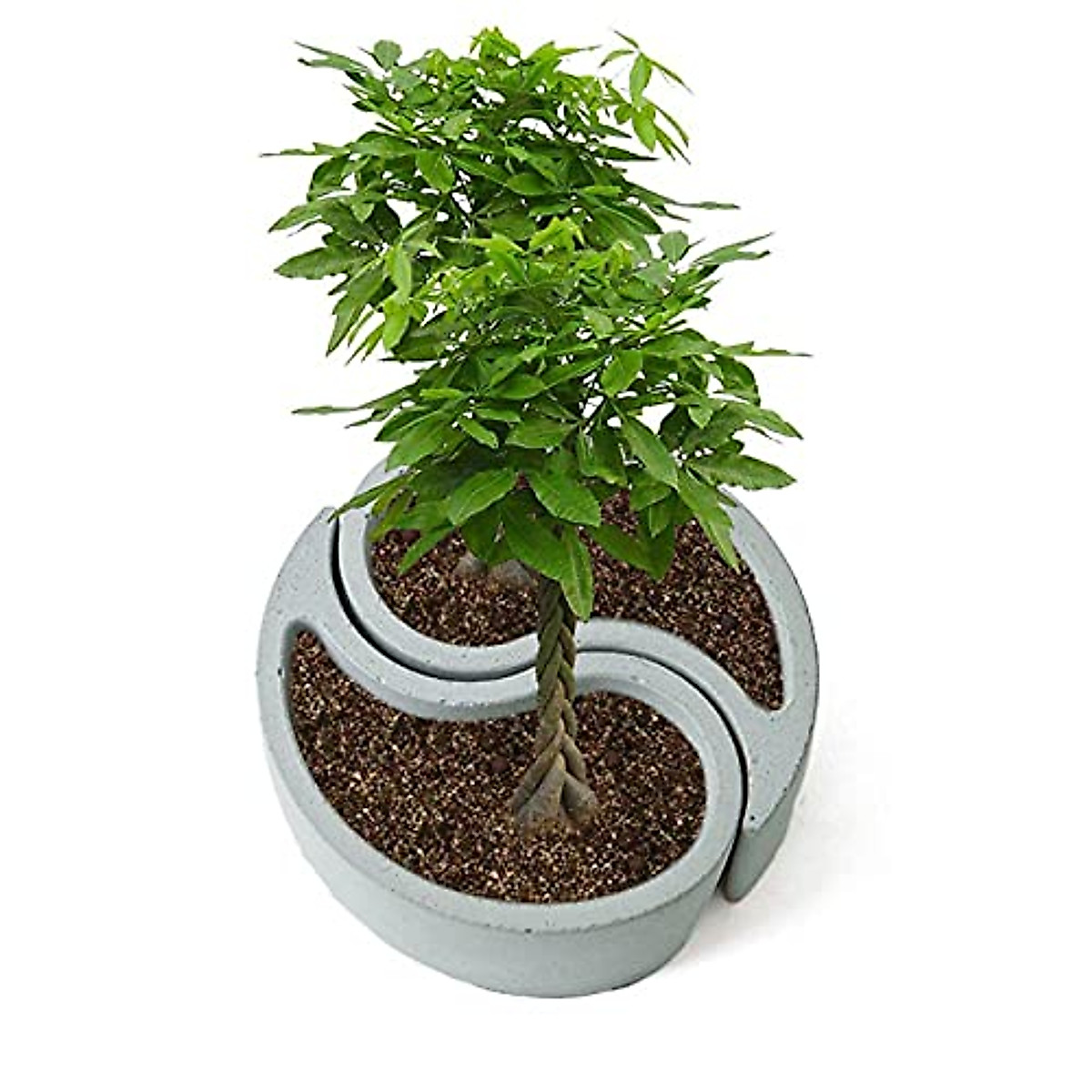 Concrete Flower Pot Molds Succulent Planter Silicone Molds Tai Chi Symbol Clay Cement Bonsai Moulds with Drainage Hole