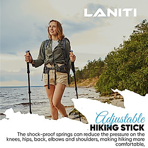 Nordic Walking Stick Adjustable Locks Expandable to 54" Lightweight Trekking Hiking Poles 10 Replacement Tips