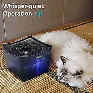 iPettie Kamino Pet Water Fountain, 101oz/3L, Ultra-Quiet Automatic Cat Water Dispenser with LED Light & Water Level Window, Auto Power Off USB Pump & Dual Filters for Cats and Dogs, Translucent Blue