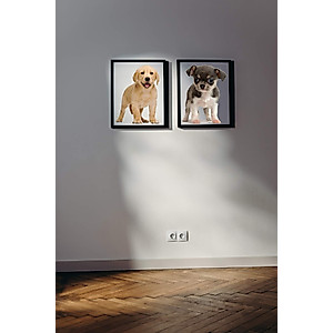 17PCS Dogs Wall Sticker 3D Pet Stickers for Kids Wall Decals Living Room Baby Rooms Bedroom Toilet House Wall DIY Decoration… (Blown-17dogs)