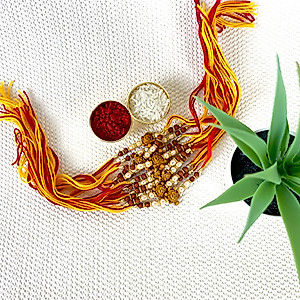 CRAFTONE Set of 12 Lucky Turtle Design Rakhi for Brother, Designer Rakhi Set for Raksha Bandhan, Small Beads Rakhi Thread Bhaiya Bhabhi Sister Rakhi Band for Rakshabandhan with Roli Chawal