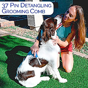 Horicon Pet 6 In 1 Premium Dog Brush Set - Dog Grooming Brushes - Ball Pin & Bristle Brush, Curved Blade Dematting Comb, Slicker Brush, Deshedding Edge Comb, Detangling Pet Comb