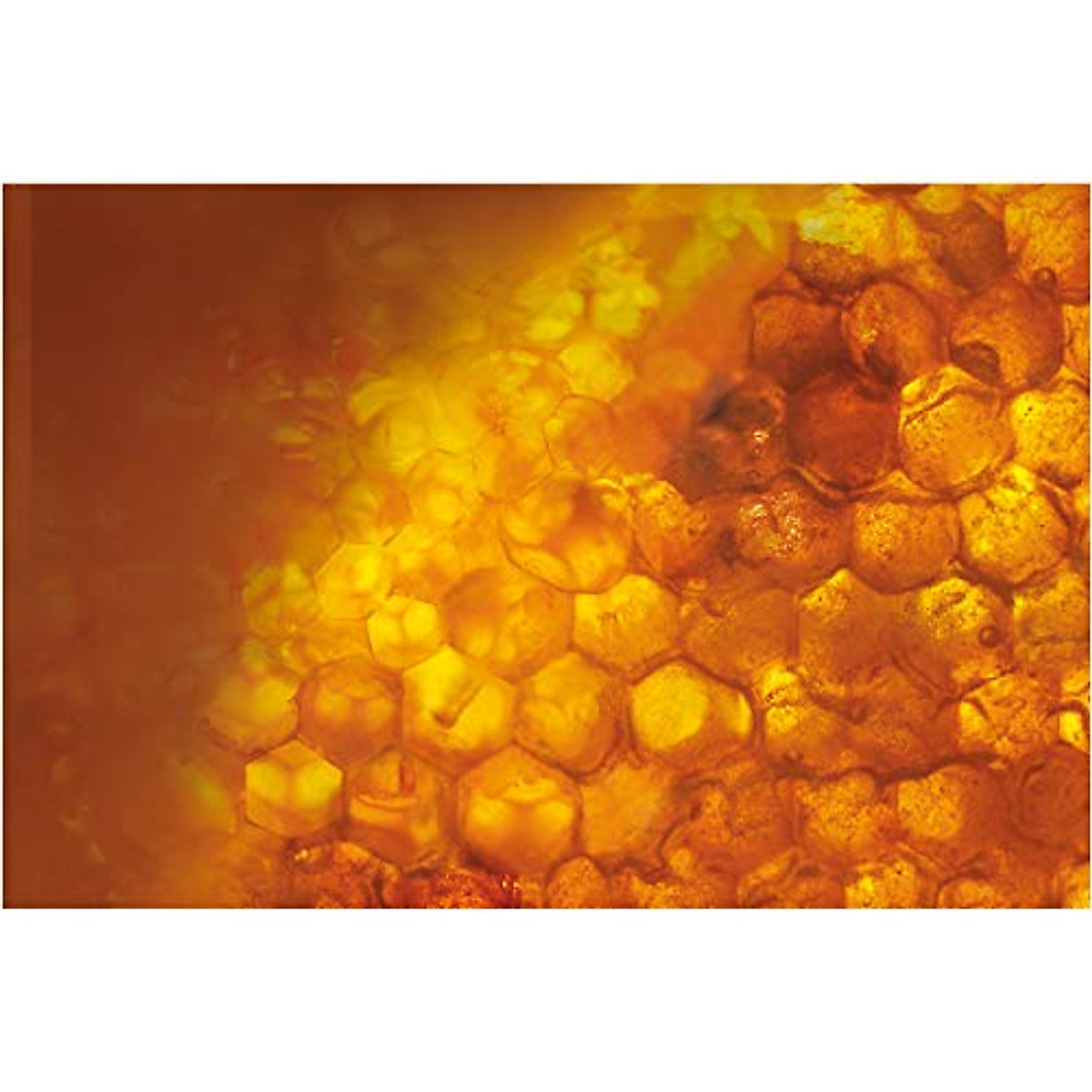 L'Oreal Paris Skincare Age Perfect Hydra-Nutrition All-Over Balm with Manuka Honey Extract and Nurturing Oils, to Soothe and Rescue Dry Skin, Paraben Free, 1.7 oz.