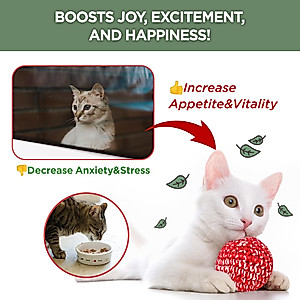 Active Catnip Spray - High Potency Transparent Liquid Spray made of Fresh Organic Catnip for Indoor Cats and Kittens, Relieves Stress, Calming, Revives Toys & Scratching Posts, Exercise (1fl oz)