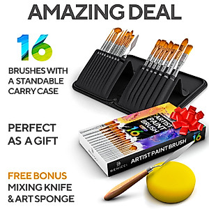 Premium Artist Paint Brush Set of 16 - w/ Bonus Palette Knife, Sponge & Organizing Case - Painting Brushes for Kids, Adults or Professionals - Perfect for Your Watercolor, Oil or Acrylic Painting Art