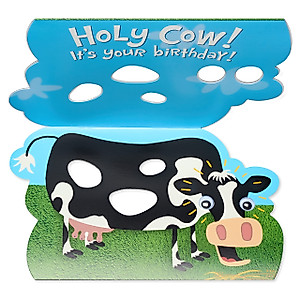 American Greetings Funny Birthday Card (Holy Cow)