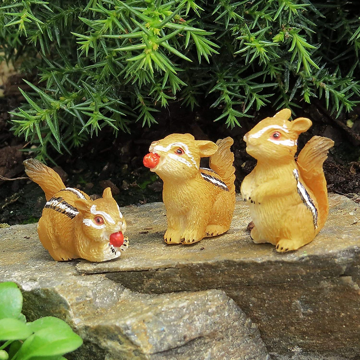 Mini Chipmunk Set of 3
