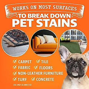 ANGRY ORANGE Pet Stain and Odor Remover - 2 Spray Pack - 32 oz Dog, Ferret, Rabbit & Cat Urine Enzyme Cleaner - 8 oz Strong Pet Odor Eliminator Concentrate - for Pee on Carpet, Furniture, Tile, Wood