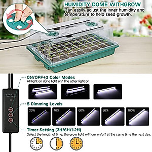 LCYATSI 2 Set 80-Cell Seed Starter Kit with Grow Light and 80pcs Peat Pellet Humidity Dome (80 Cells Total Tray) Seed Starting Trays, Base Large Greenhouse Germination Kit for Seeds Growing Starting