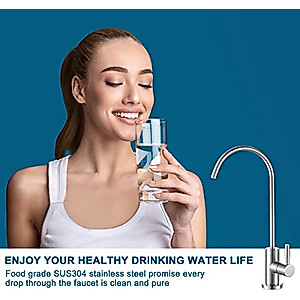 ESOW 100% Lead-Free Kitchen Water Filter Faucet, Fits Most Reverse Osmosis and Water Filtration System for Kitchen Bar Sink in Non-Air Gap, SUS304 Stainless Steel Brushed Nickel Finish