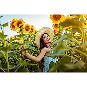 NatureZ Edge 1300+ Sunflower Seeds Variety Pack, Sunflower Seeds for Planting, Get More Sunflower Seeds to Plant, Non-GMO